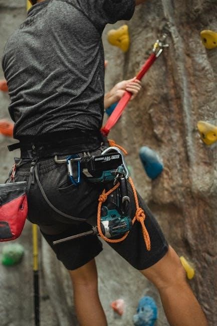 Safety First: Trifit All-in-One Manual | Robertasalinas.com